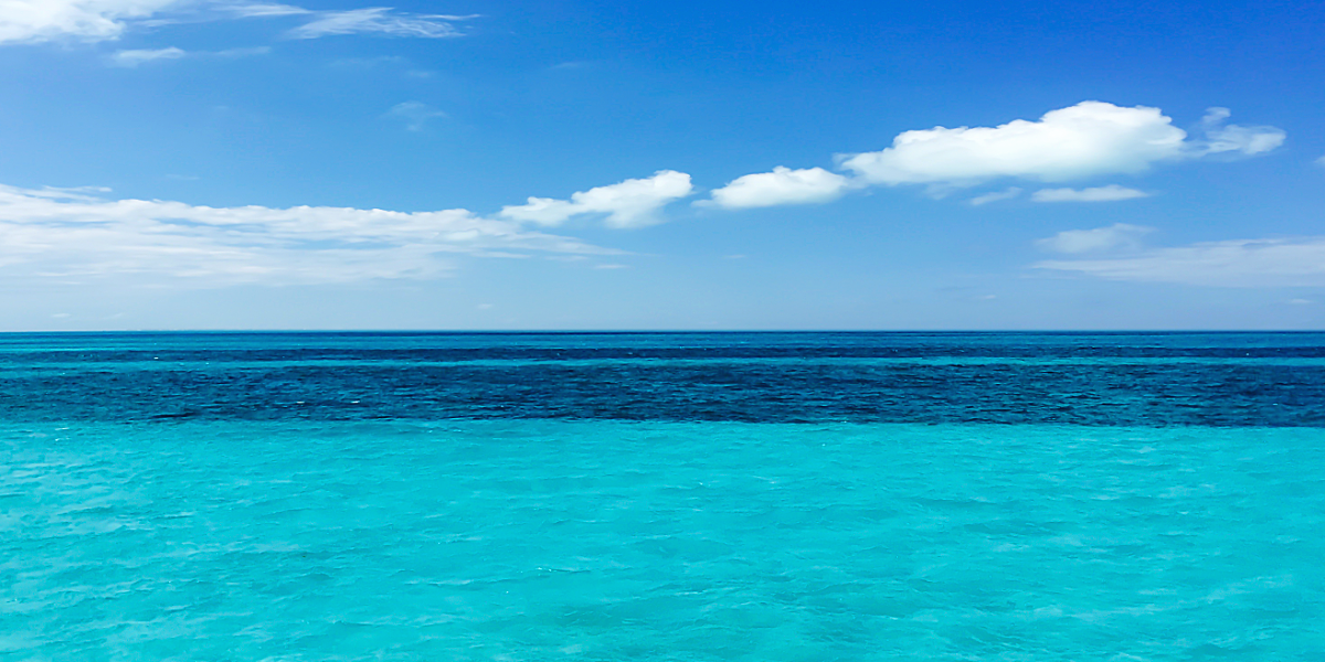 TV from Aruba - Watch Live Channels Online | Squid TV