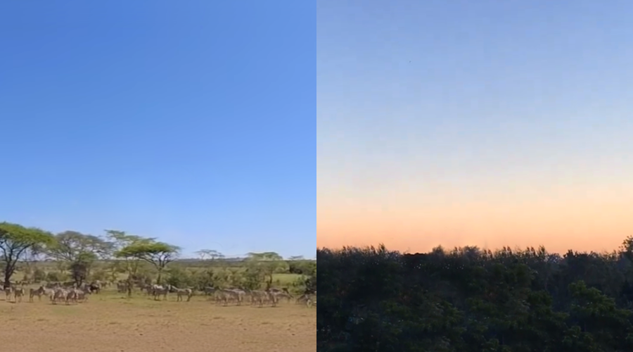 Channel Ten : Dar es Salaam, Tanzania - News Videos